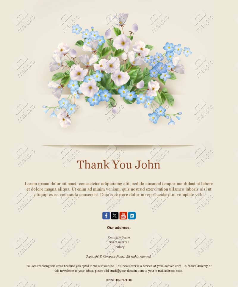 Thank you Email Templates | Mailpro™