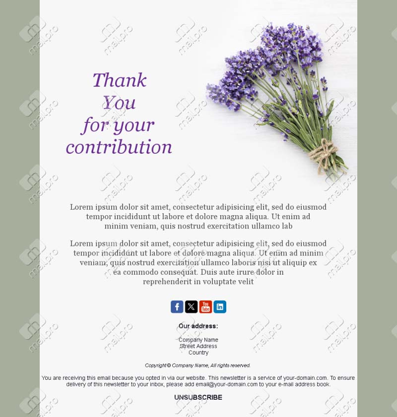 Thank you Email Templates | Mailpro™