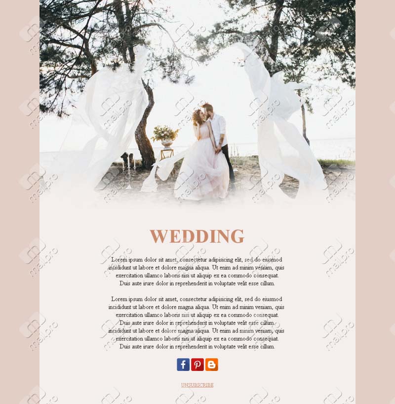 Wedding Email Template | Mailpro™